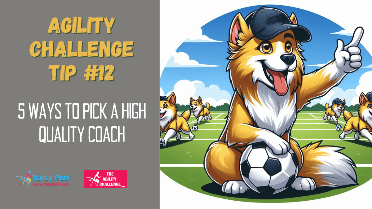 Agility Challenge Tip #12 - Five ways to pick a high-quality teacher or ...