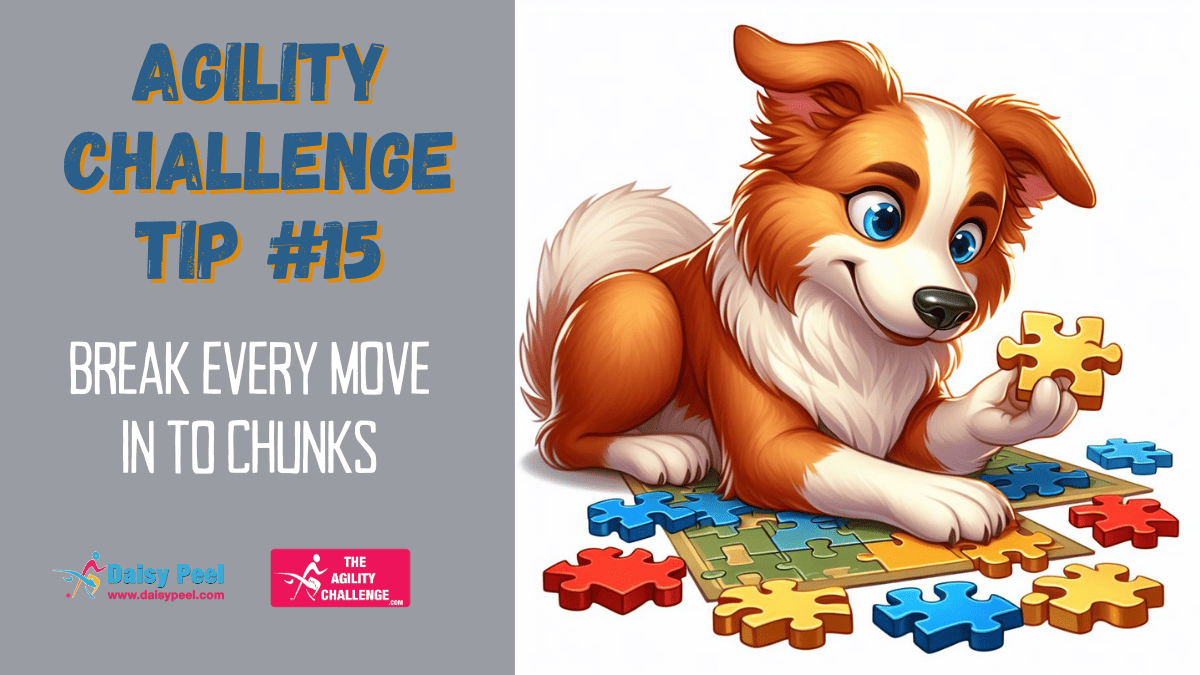 Agility Challenge Tip #15 - Break every move down into chunks - Daisy Peel