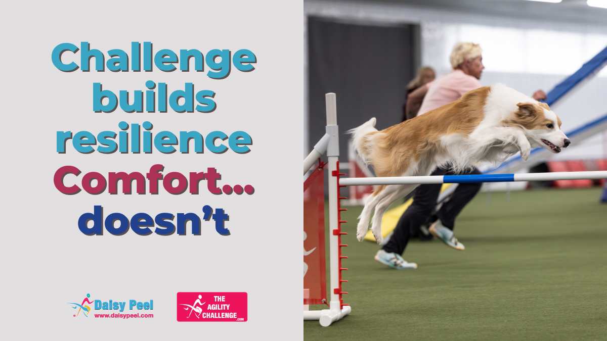 Dog Agility Courses for All Levels | Daisy Peel